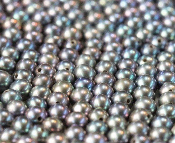 Niobium and Titanium Pearl Post Earrings at Wear Earrings Again with ...